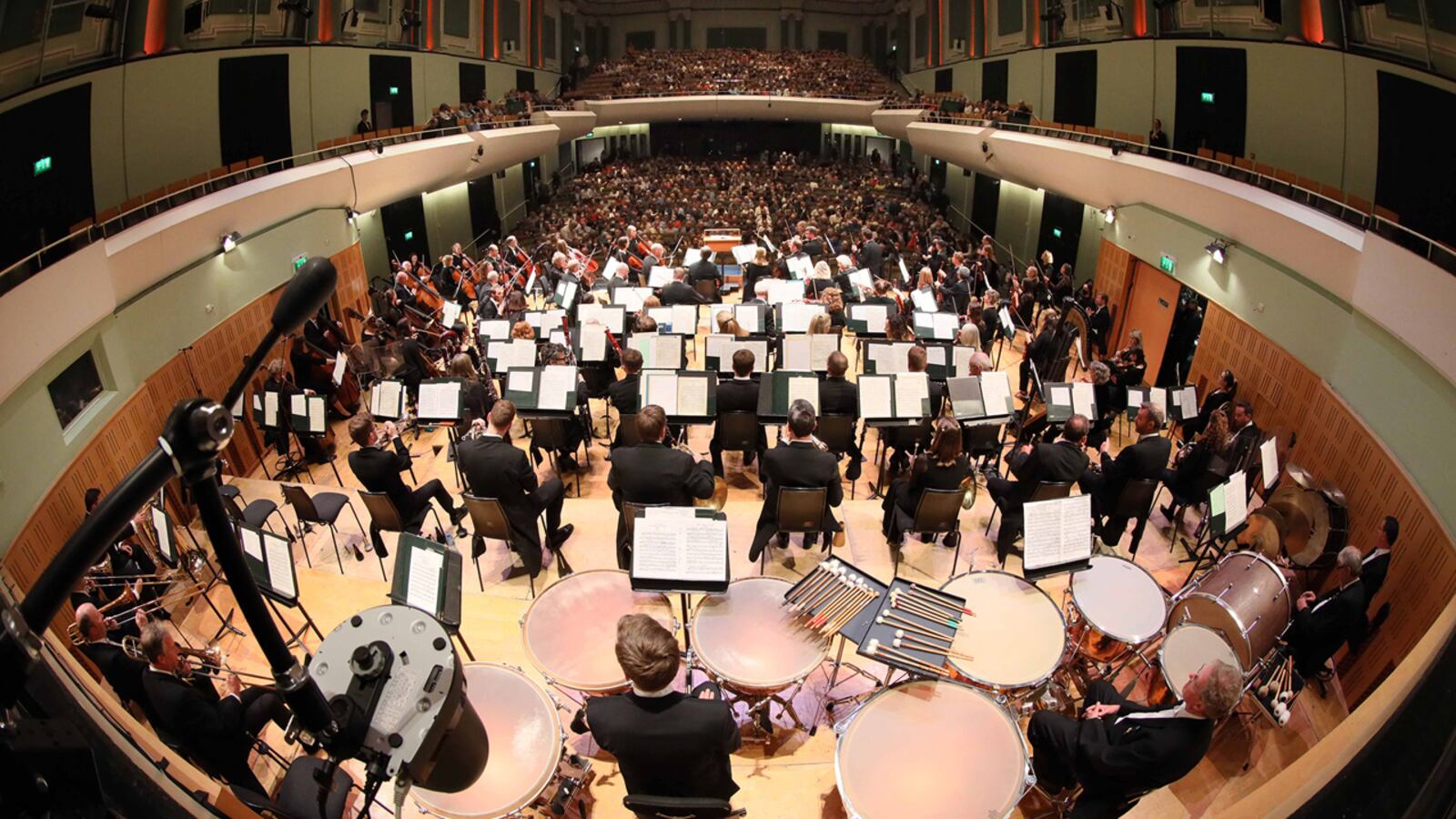 New National Concert Hall boss: ‘I hope to be here for the grand ...