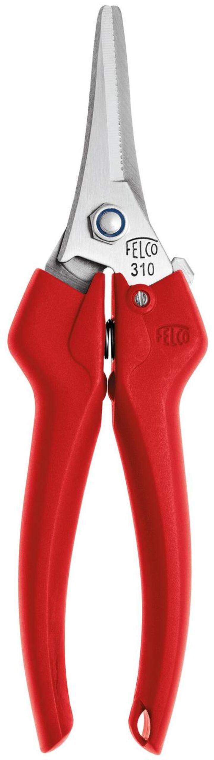 Fionnuala Fallon: the best Christmas gifts for gardeners – The Irish Times