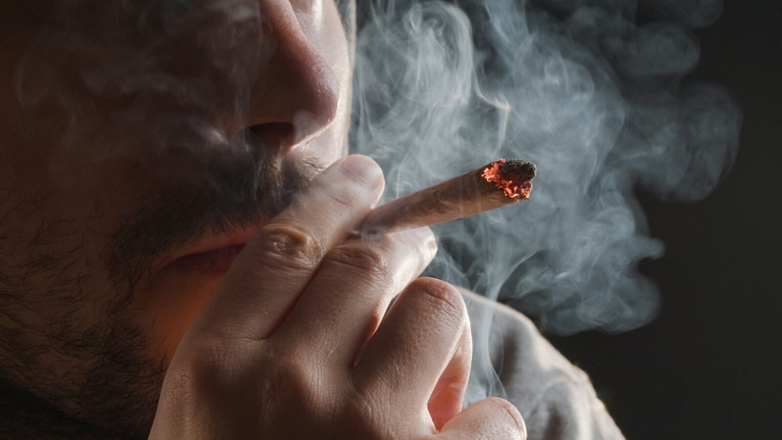 How the Irish cannabis market has been transformed by legalisation in ...