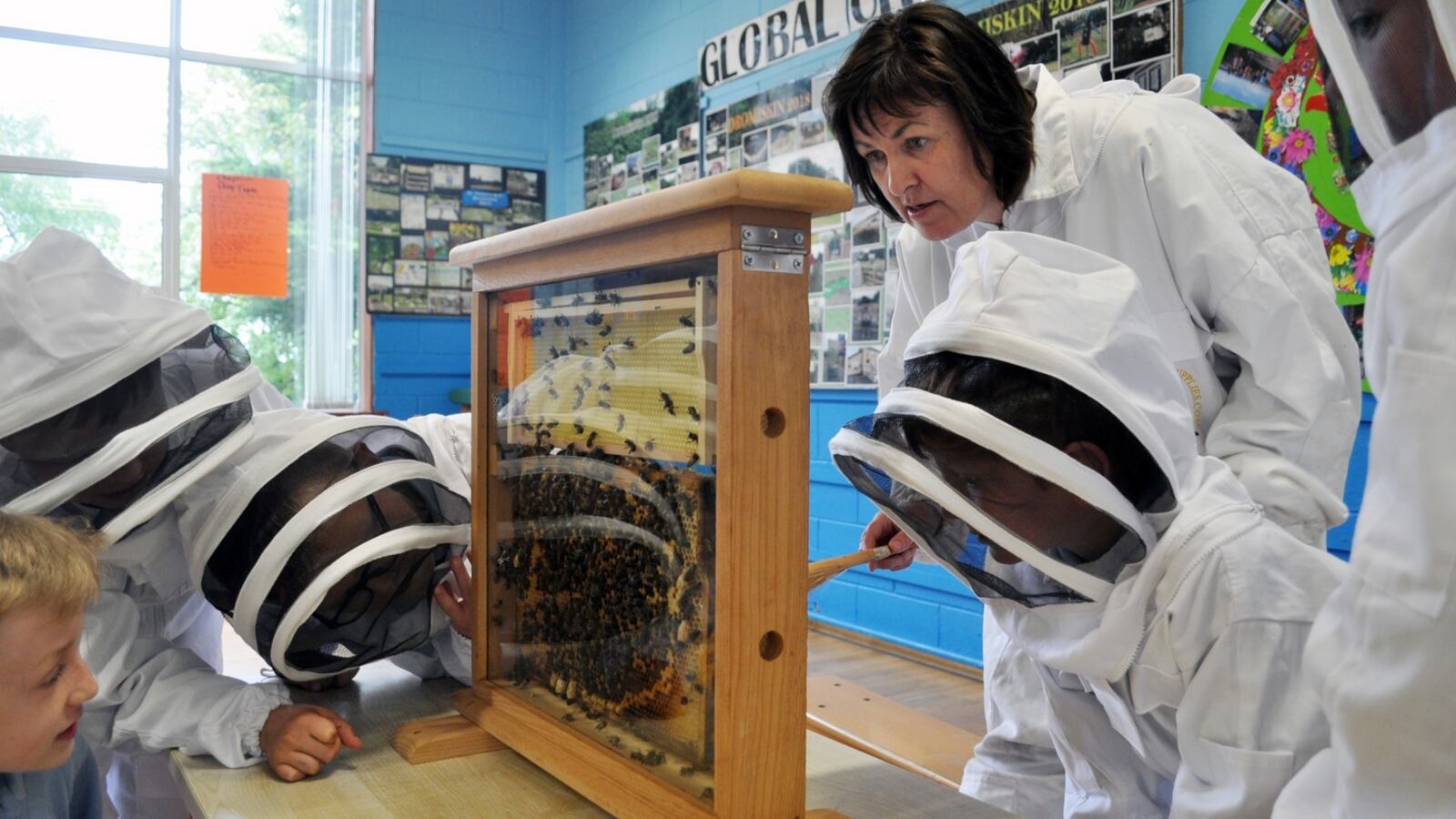 Pupil power: how students are helping to turn their schools green – The ...