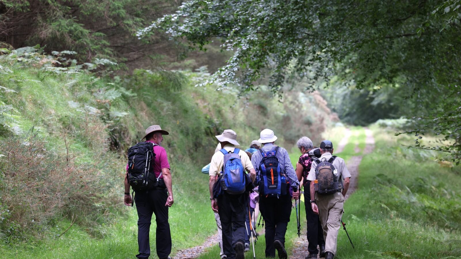 Walk this way: On the trail with Dublin’s trekkers’ club – The Irish Times