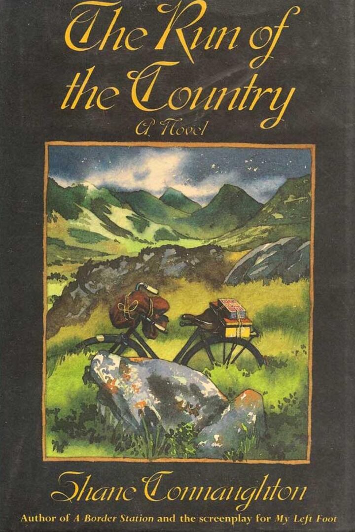 32 wonderful Irish books: One set in every county in Ireland – The ...