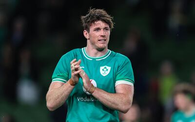 Ireland’s Rugby World Cup squad: Profiles of the 33 men looking to ...