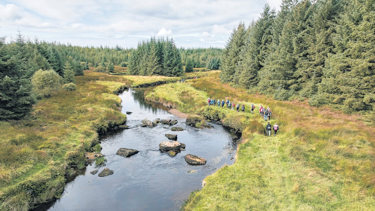 Ireland’s ancient pilgrim paths: 14 trails to walk across the country ...