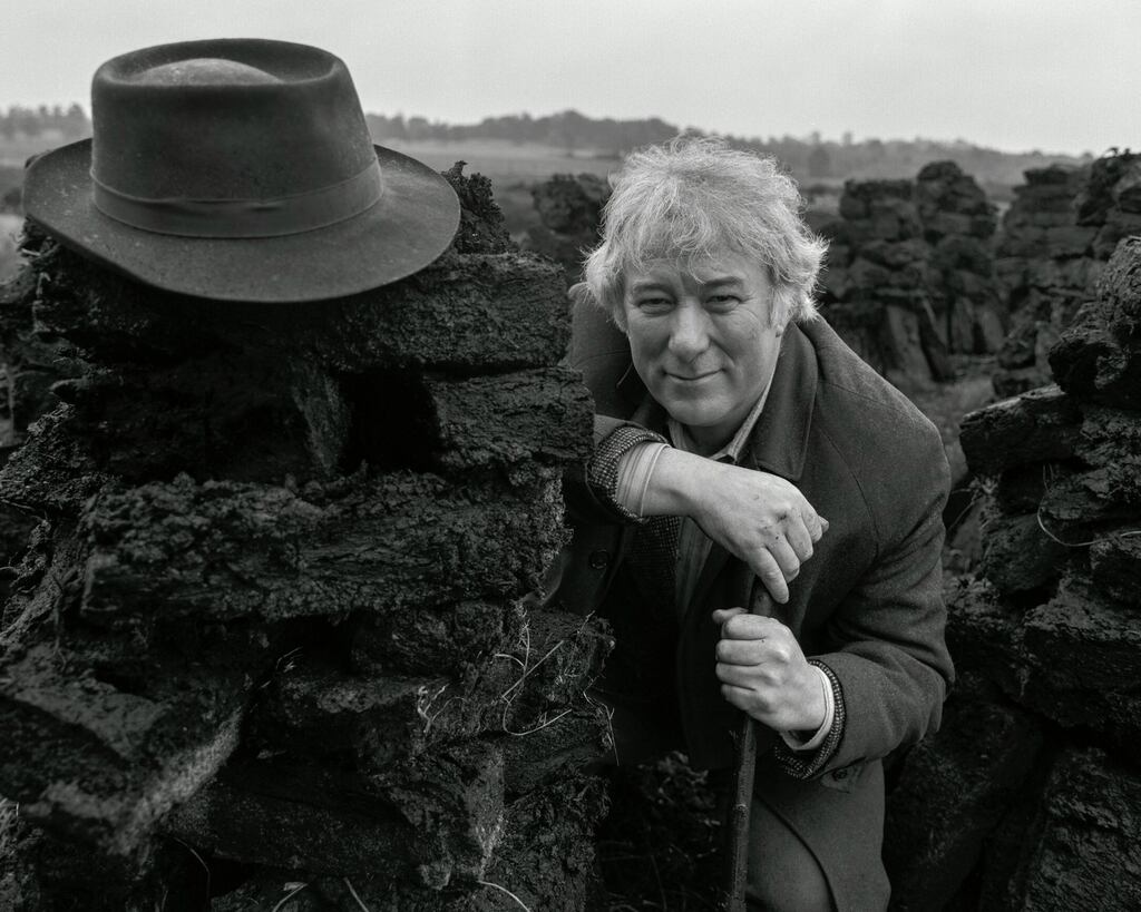 How I learned to love Seamus Heaney’s poetry – The Irish Times