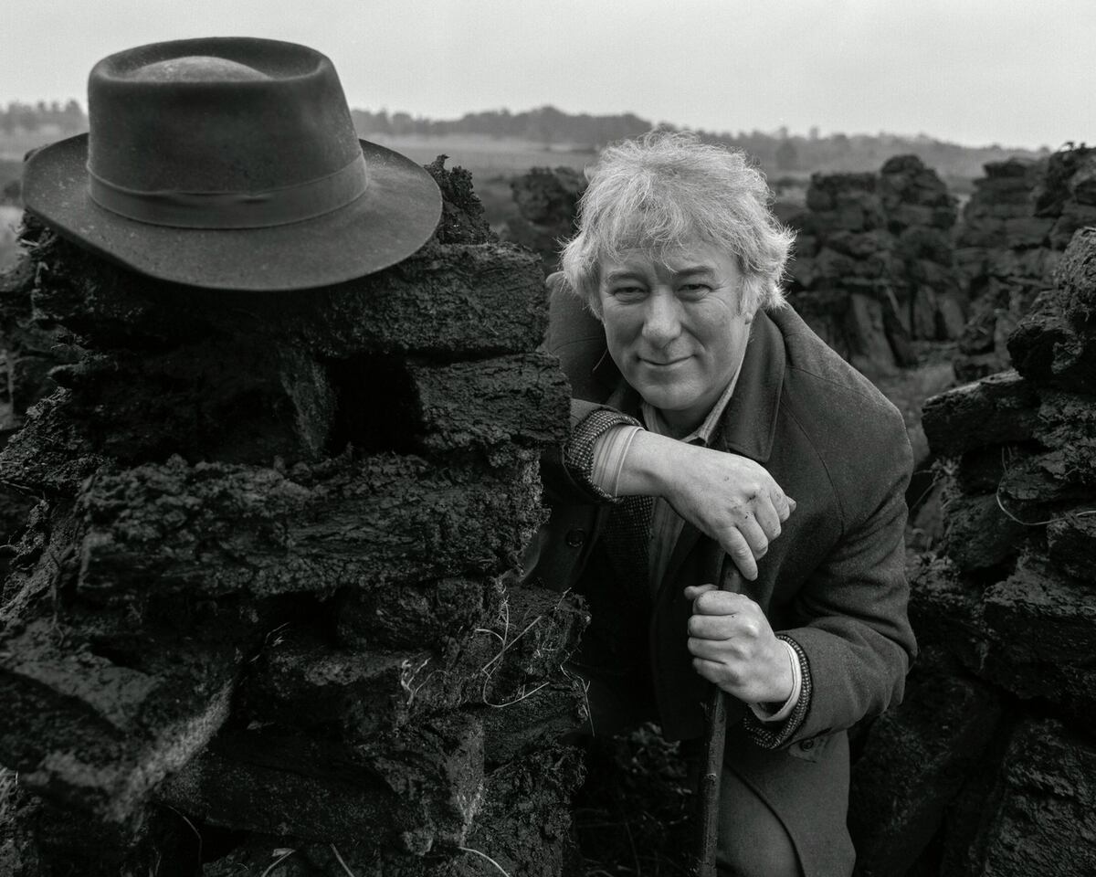 How I learned to love Seamus Heaney’s poetry – The Irish Times