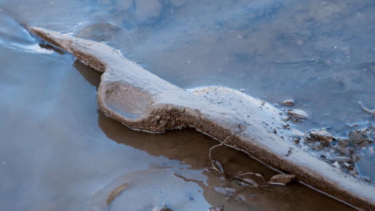 Ancient wooden boat found in the Boyne river – The Irish Times