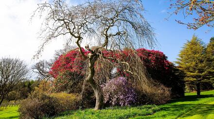 Cappoquin House is worth a detour in Waterford – The Irish Times