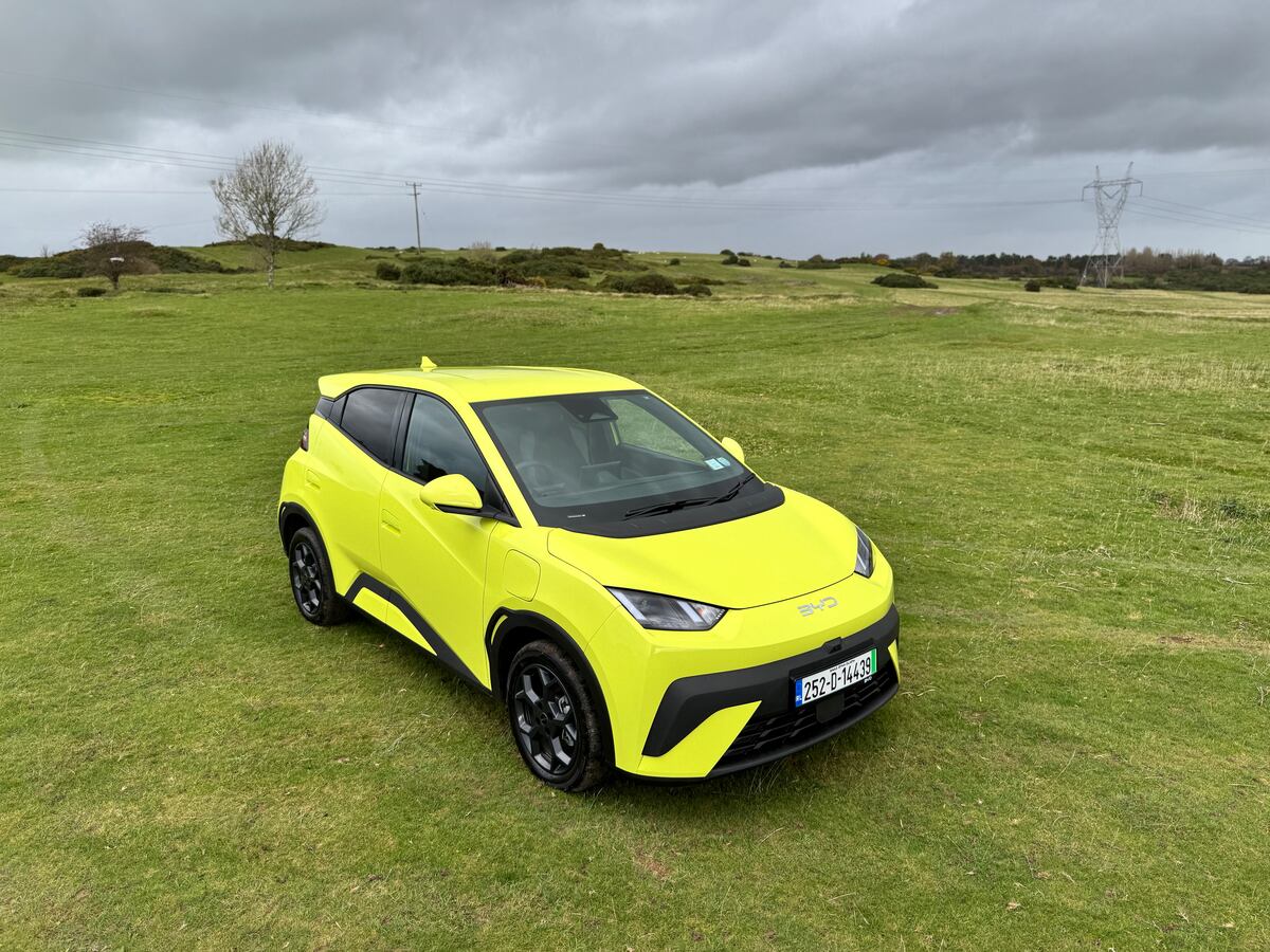 Best cars to buy in 2026: from family EVs to city runabouts – The Irish ...