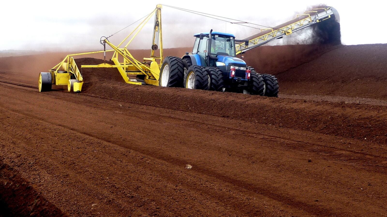 Cannabis plan for State-owned bogs goes up in smoke – The Irish Times