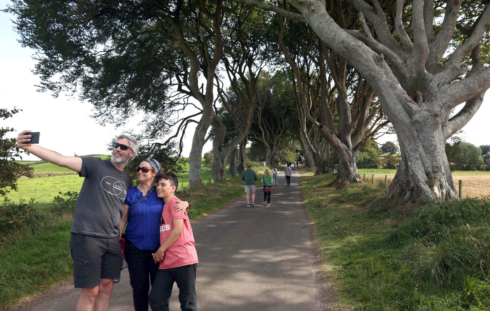 ‘We cannot save these trees’: The Dark Hedges, made famous by Game of ...