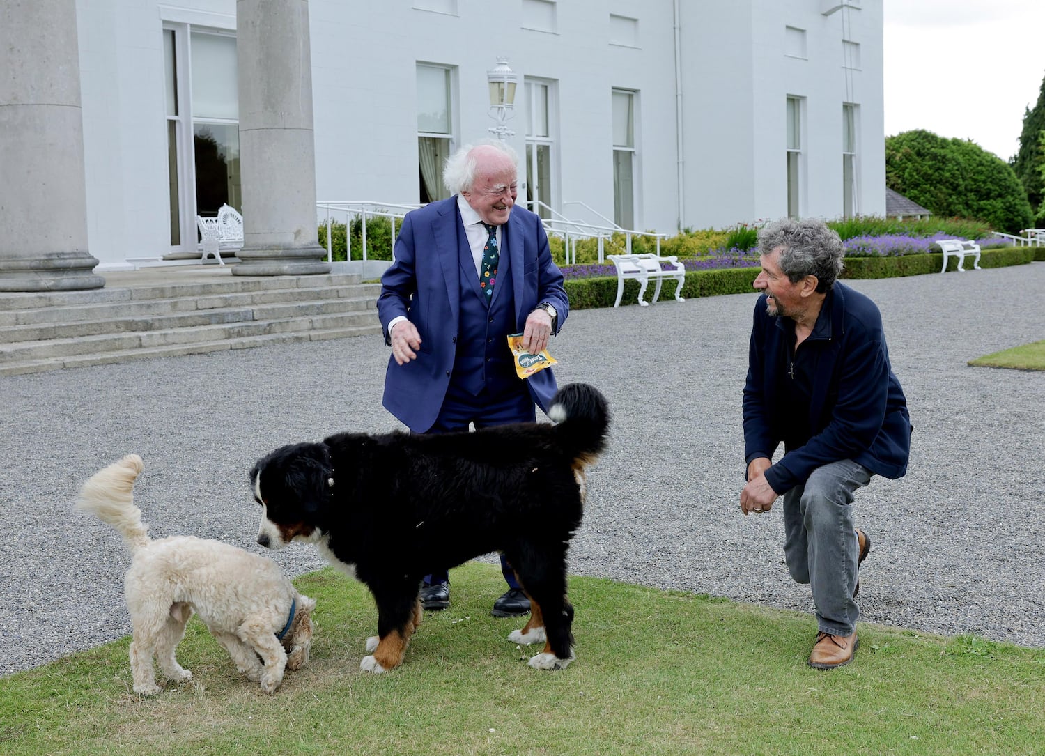A dog's life in pictures: Bród and President Michael D Higgins at the ...