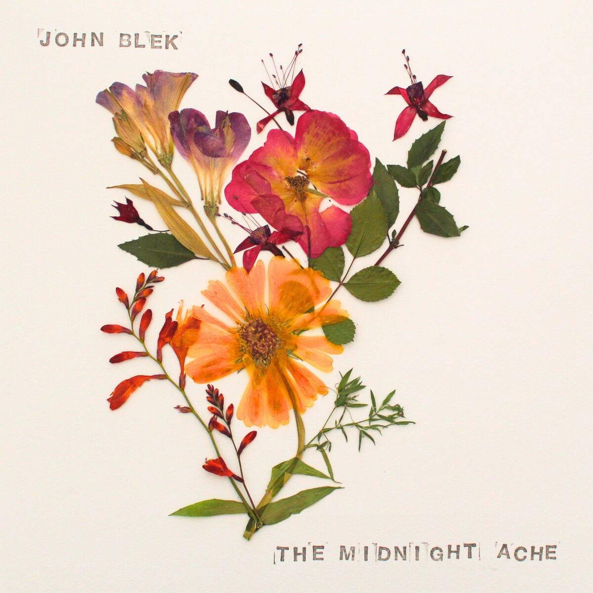 New Irish albums reviewed and rated: John Blek, Dani Larkin, Van ...
