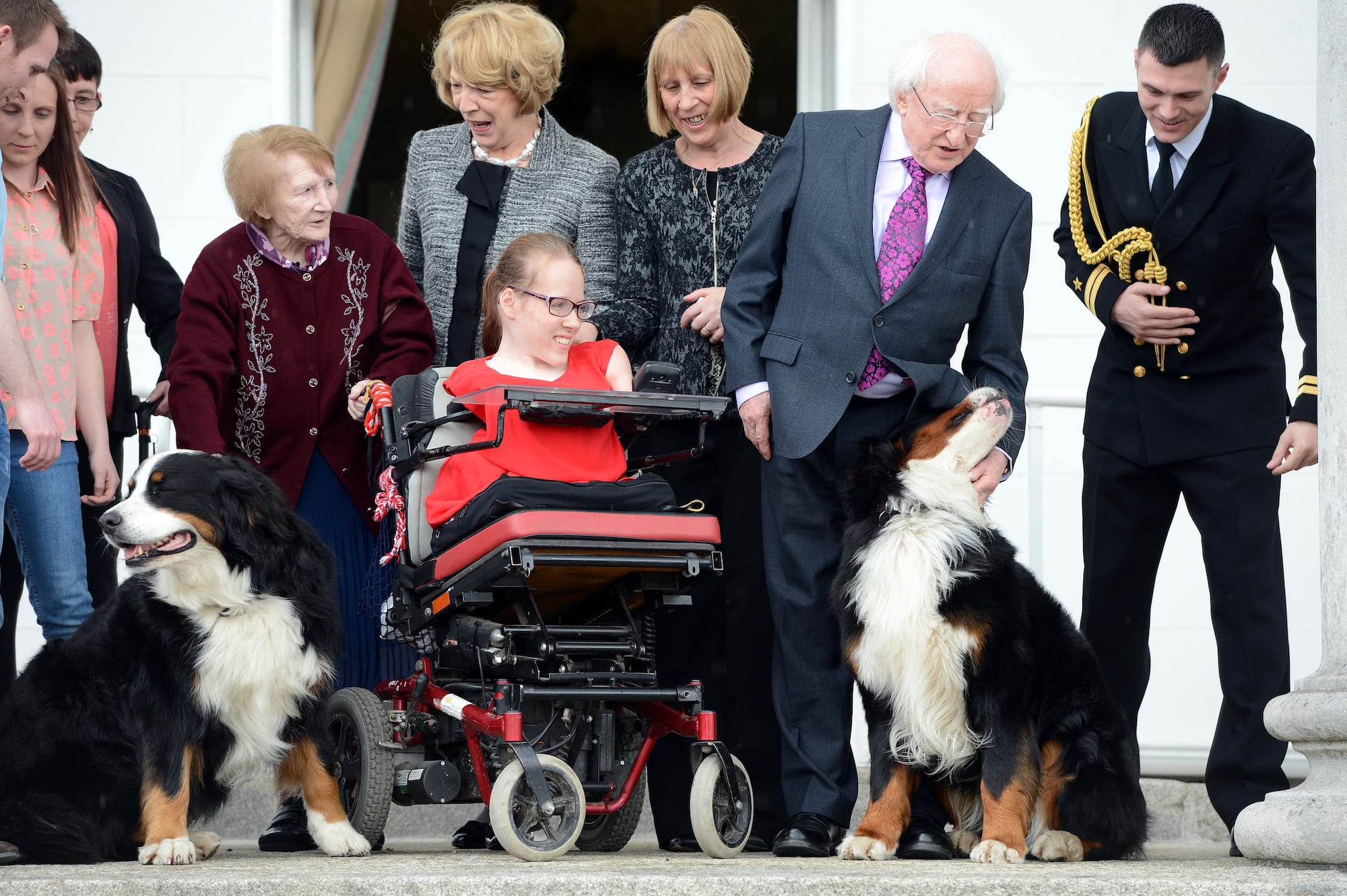 A dog's life in pictures: Bród and President Michael D Higgins at the ...