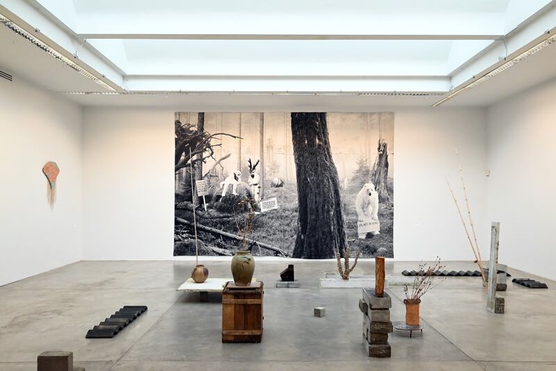 Fifty artists, 17 venues: EVA International art extravaganza takes over ...