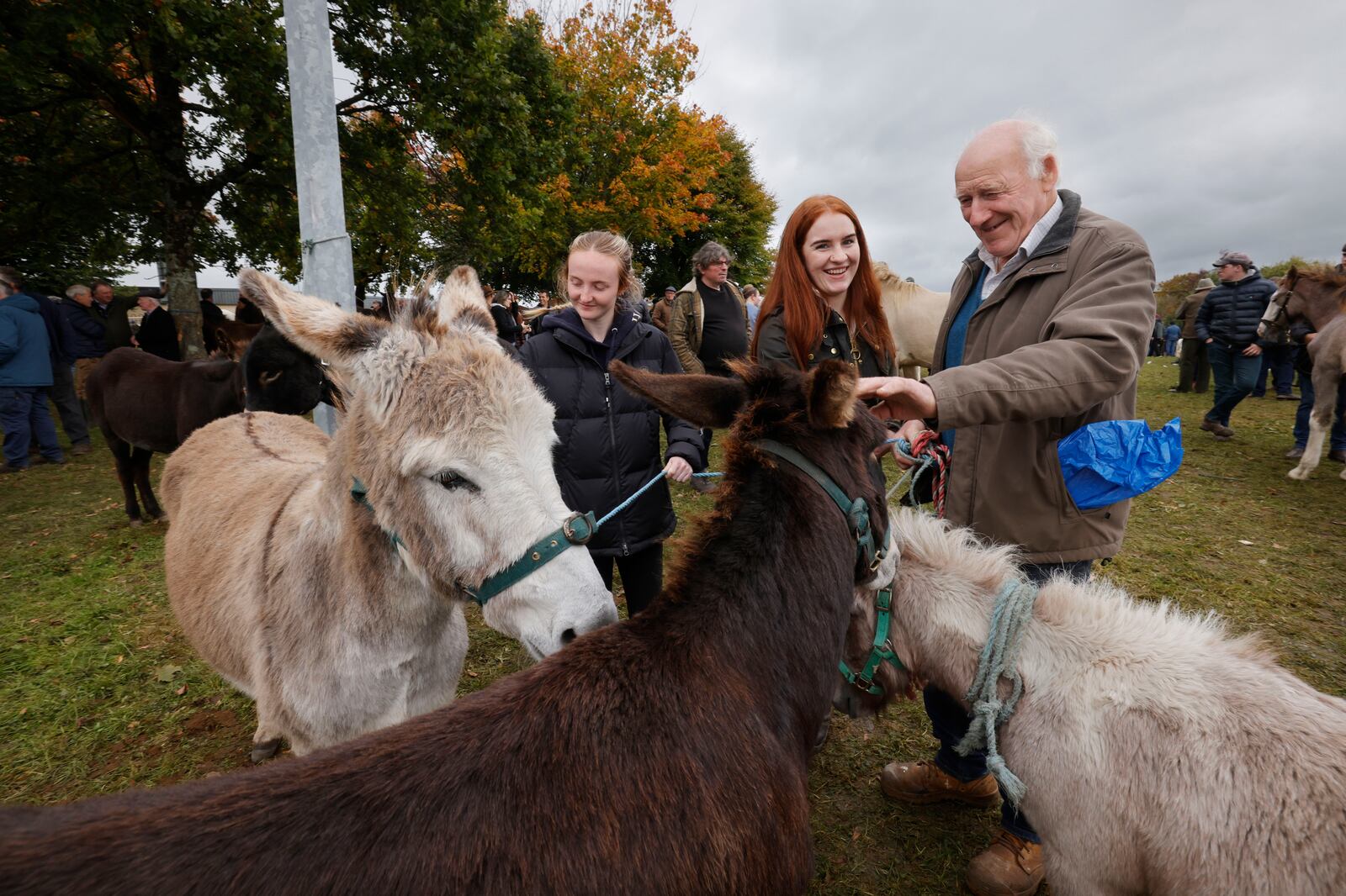 In pictures: Ballinasloe Horse Fair 2025 – The Irish Times