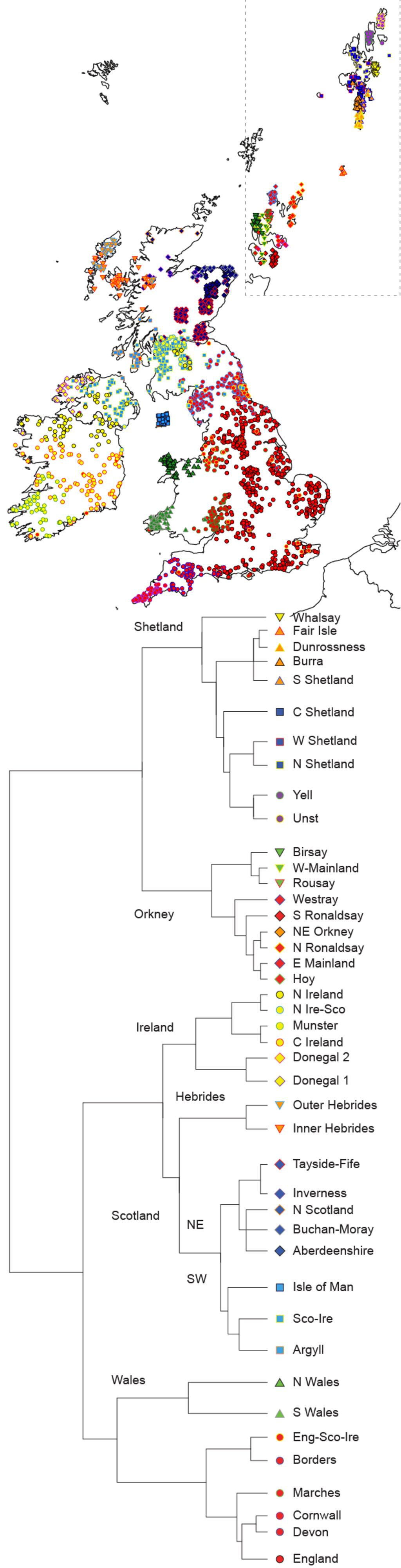 We're cousins: genetic map of Britain and Ireland shows common ancestry ...