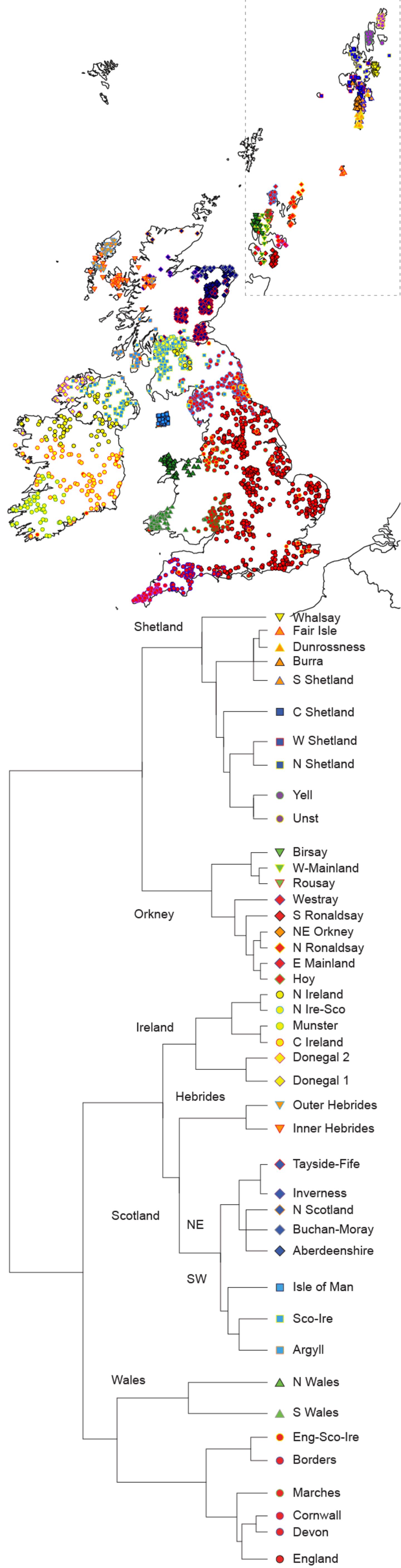 We're cousins: genetic map of Britain and Ireland shows common ancestry ...