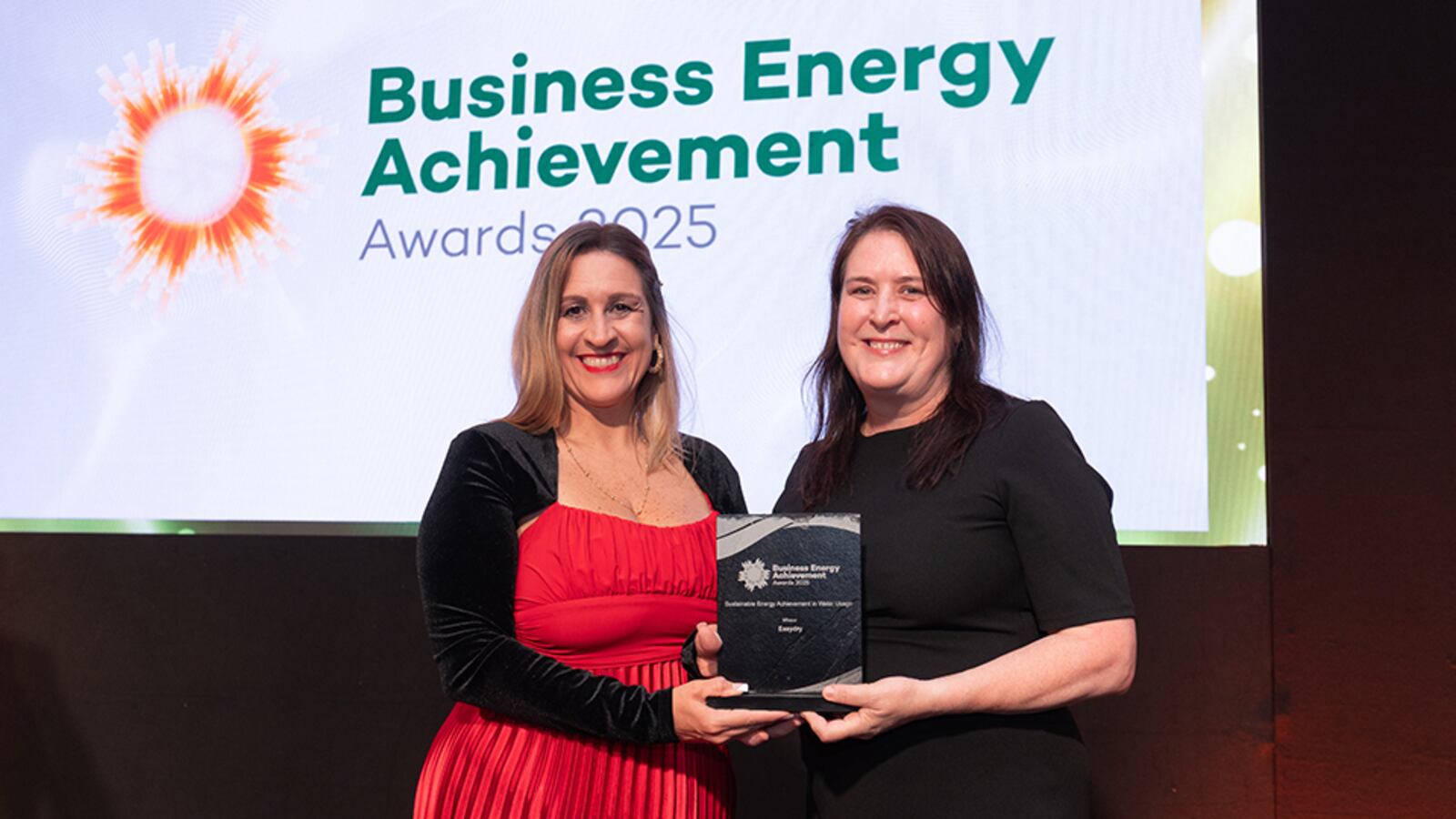 Croke Park wins top honour at Business Energy Achievement Awards – The ...