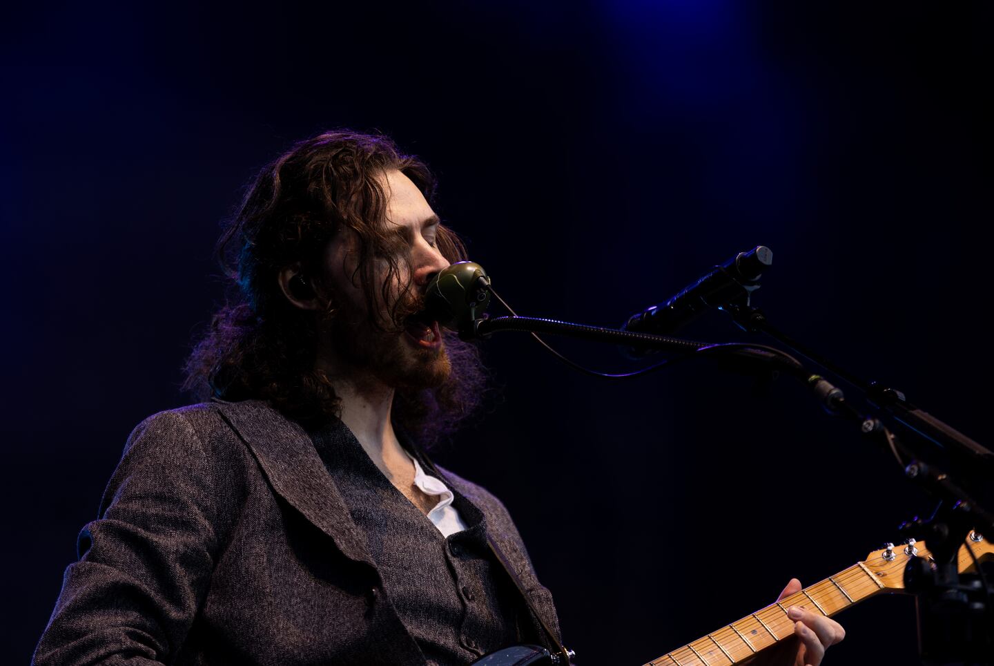 Hozier in Marlay Park review: Mild-mannered musician transforms into ...