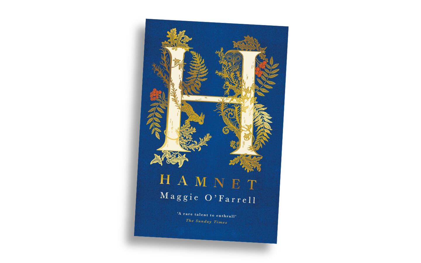 The 100 best Irish books of the 21st century: No 25 to No 1 – The Irish ...
