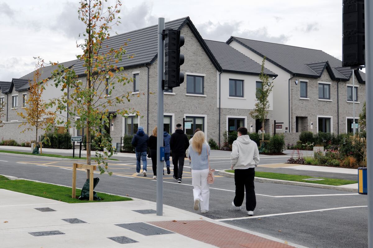 ‘They’re very out of budget’: Dozens view new estate in Dublin – The ...