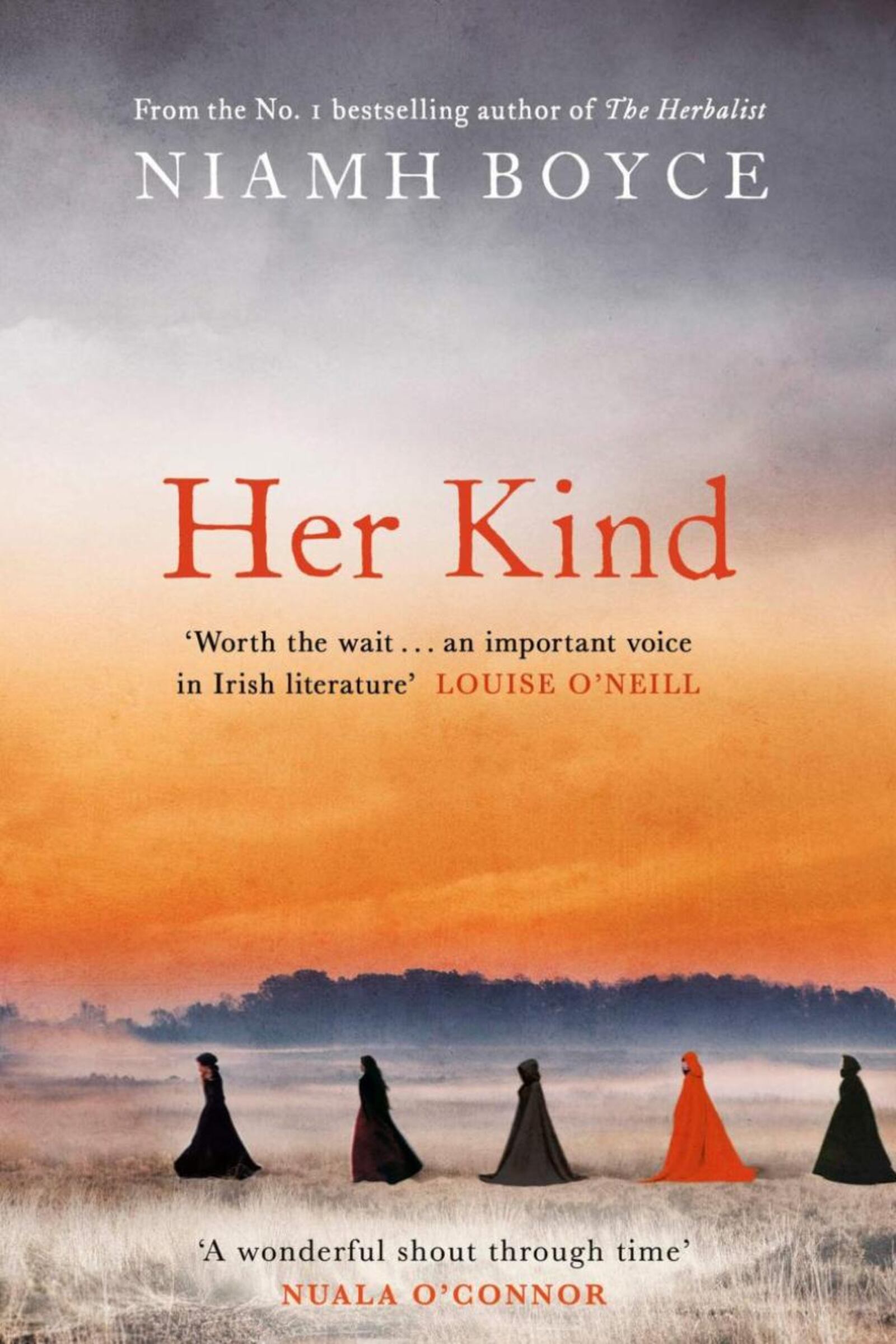 32 wonderful Irish books: One set in every county in Ireland – The ...