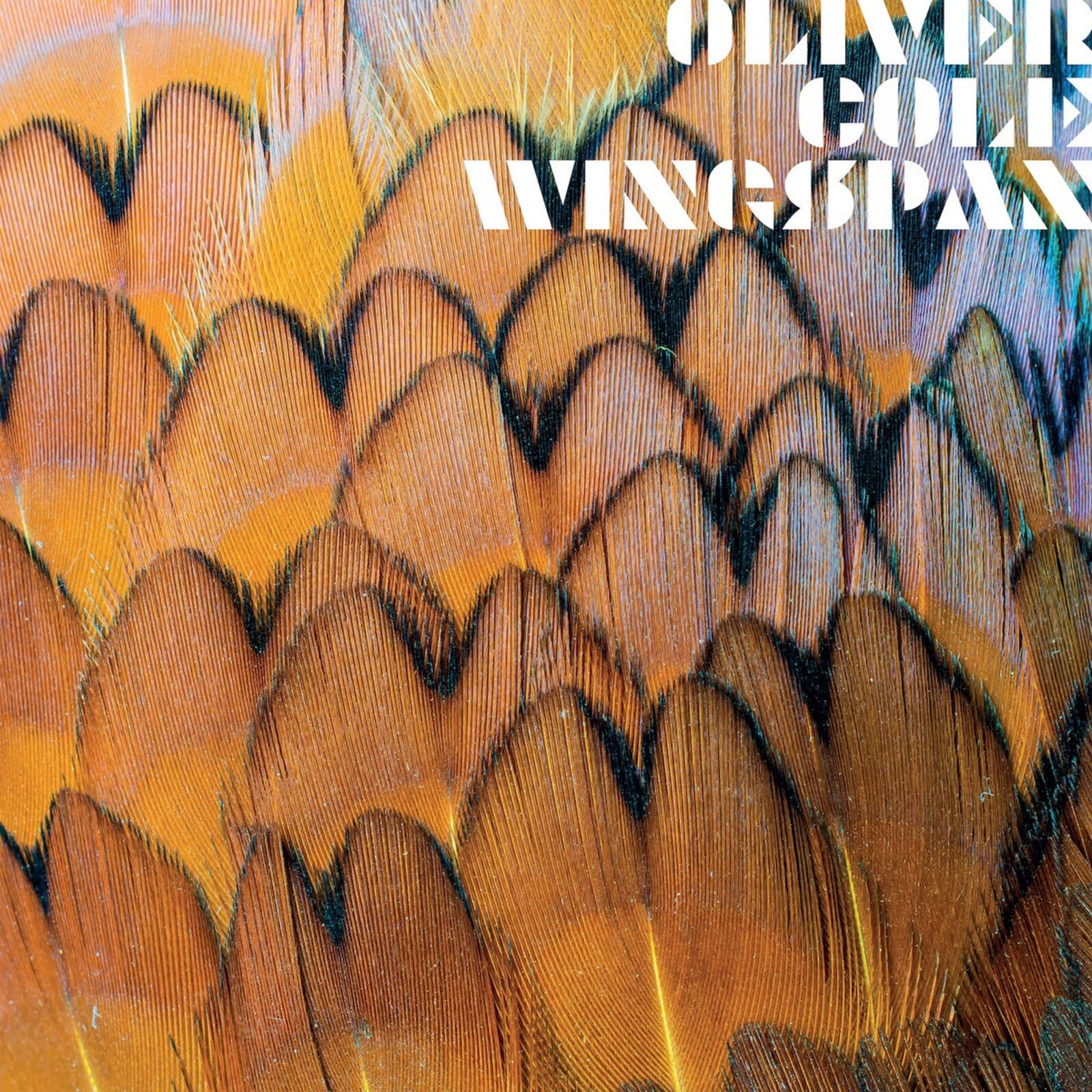 New Irish albums reviewed and rated: Oliver Cole, MayKay, RuthAnne, Ger ...