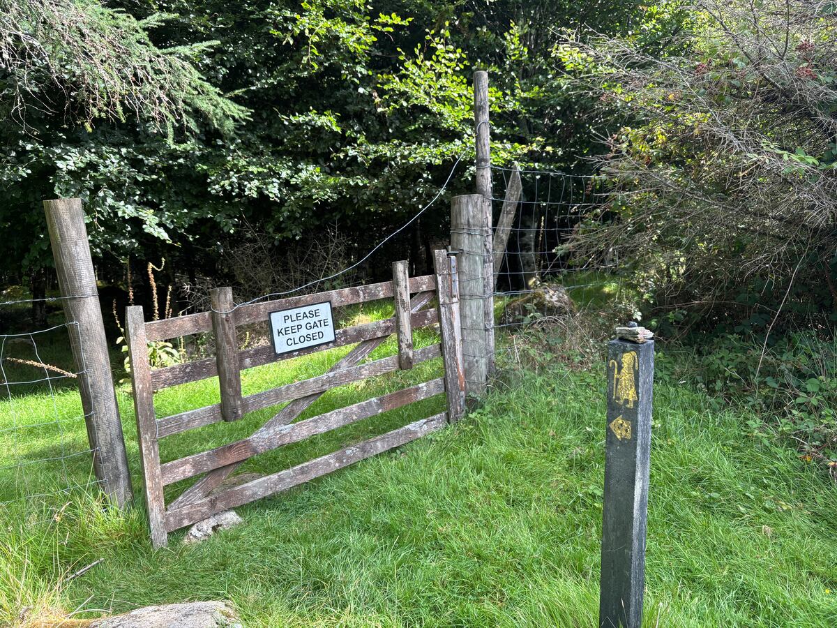 Walking St Kevin’s Way: I pause modern life and follow a medieval monk ...
