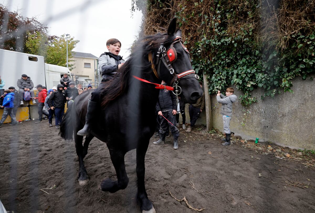 In pictures: Ballinasloe Horse Fair 2025 – The Irish Times