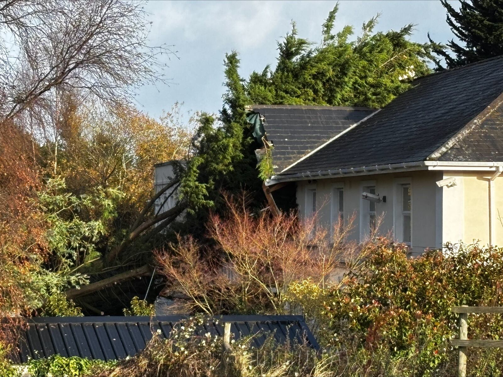 Storm Darragh: Hundreds of thousands of premises without power amid ...