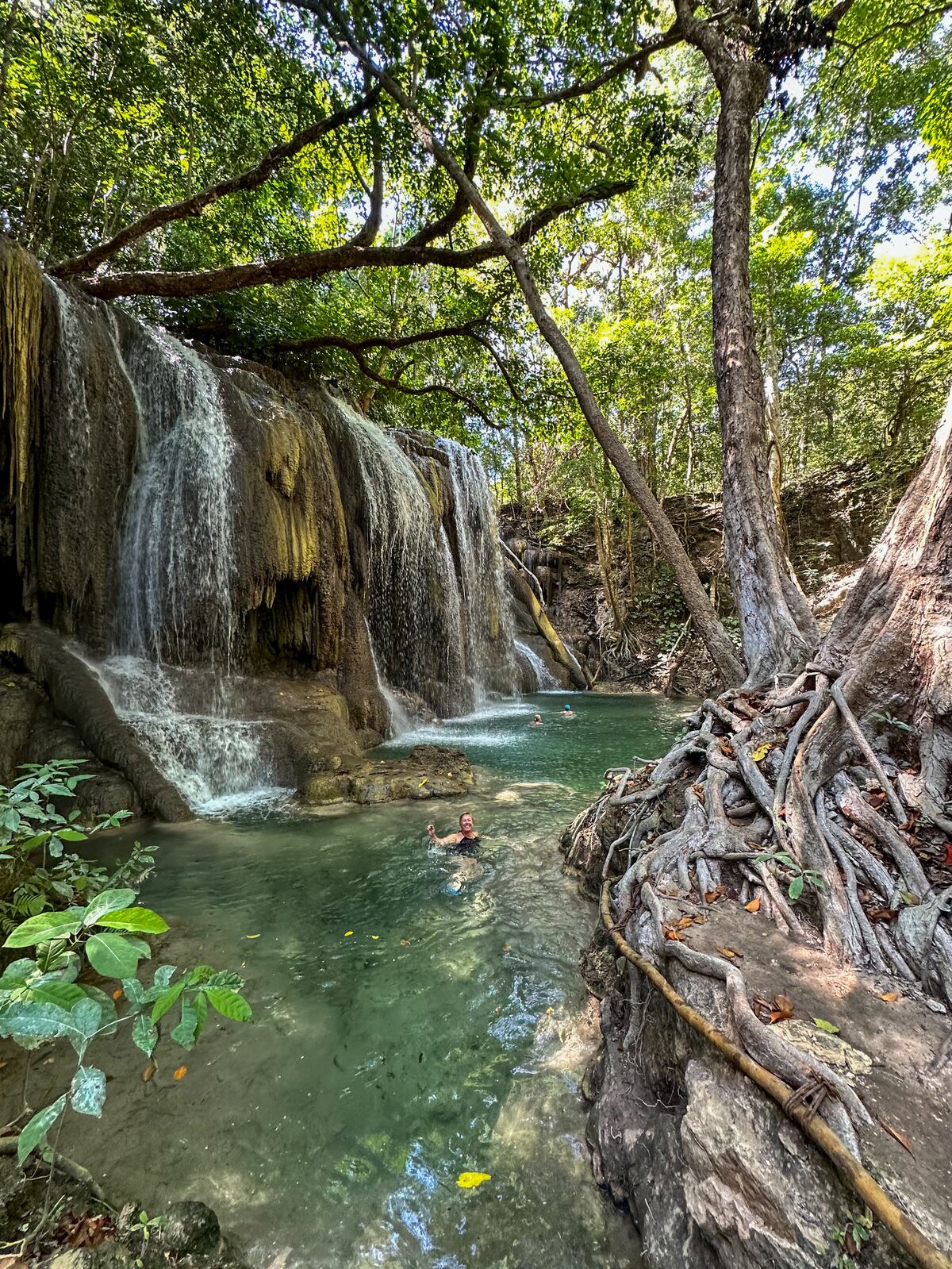 Adventuring through the rivers of Borneo and Flores Sea: Lush ...
