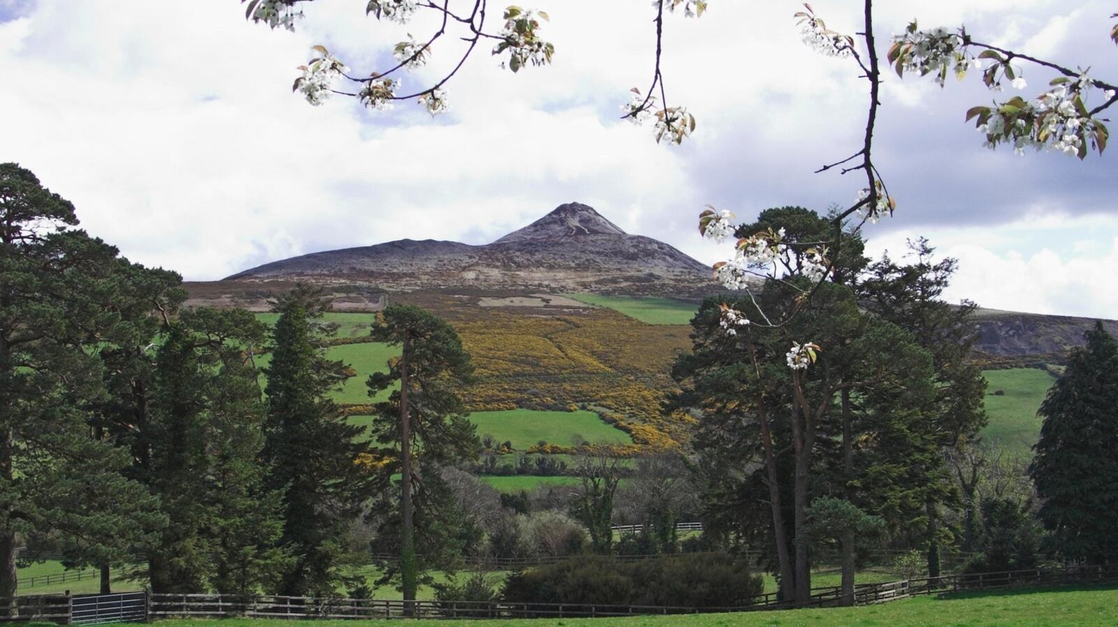 Wicklow stud farm returns with €11.5m price drop – The Irish Times