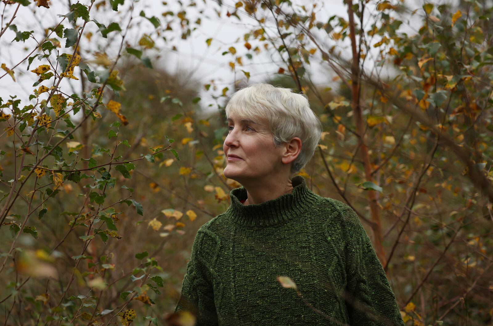 Two years ago we planted 24,000 native saplings – now our forest is ...