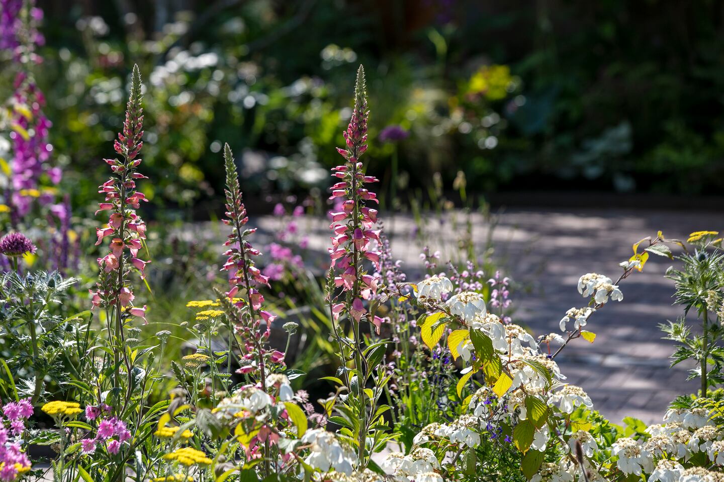Bloom 2024: Opening times, ticket costs, 22 show gardens and 13 ...