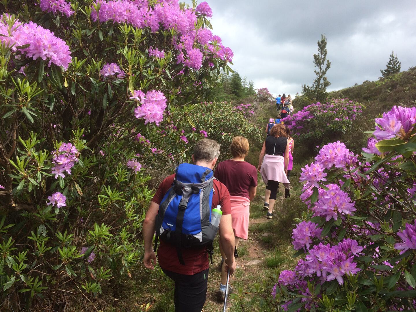 Irish nature’s greatest displays: the most majestic sights in the land ...