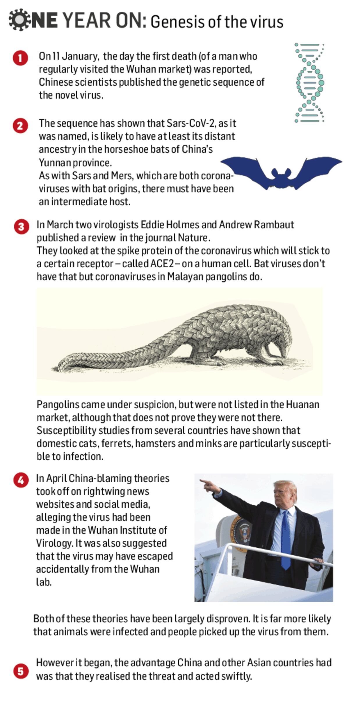 Covid-19 one year on: The story of the virus in five infographics – The ...