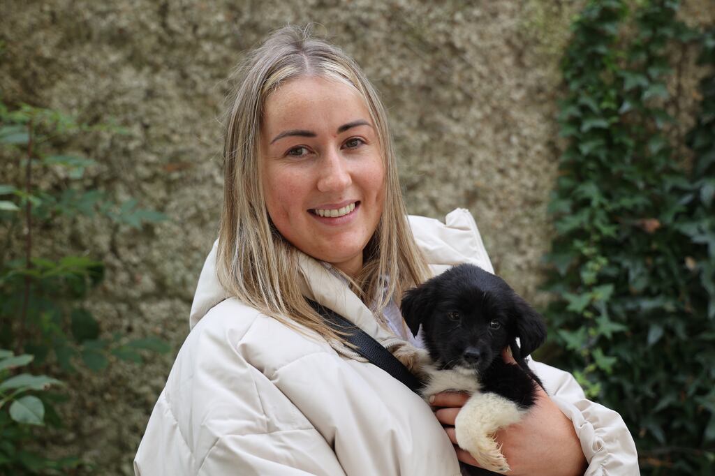 Aftermath of the Covid puppy boom: ‘A tsunami of unwanted dogs’ – The ...