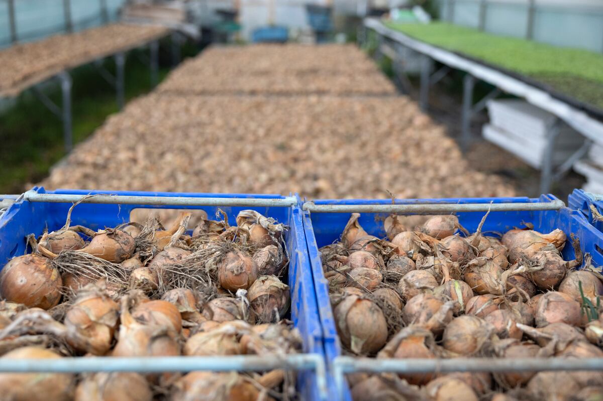 The rural Dublin family farm where the best chefs in Ireland source ...