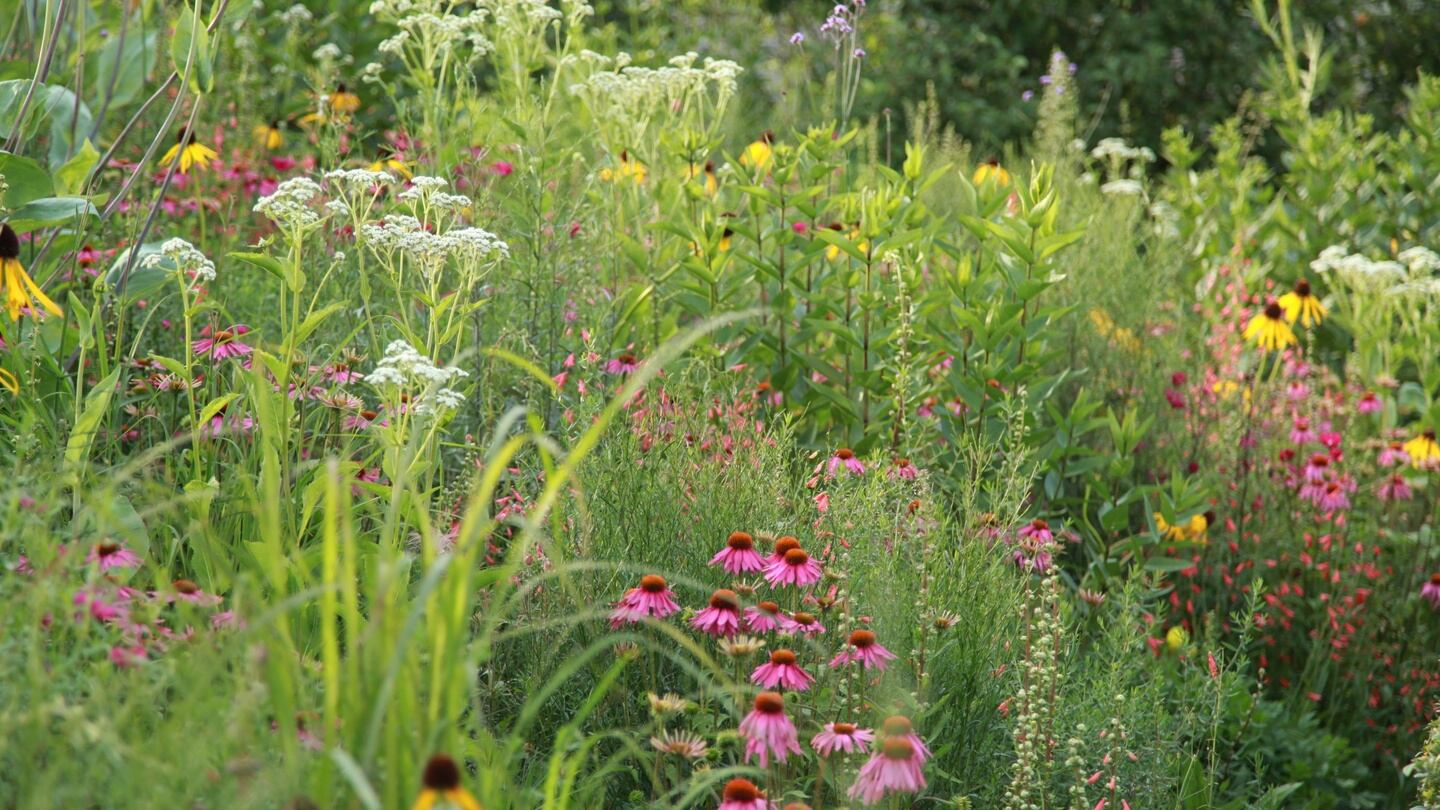 A Chelsea winner's guide to creating a tranquil garden – The Irish Times