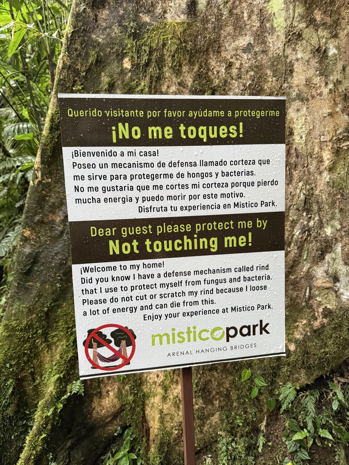 Costa Rica gets back to nature after decades of deforestation – The ...