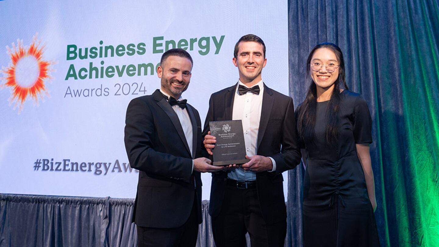 Royal College of Surgeons Ireland clinches top prize at Business Energy ...