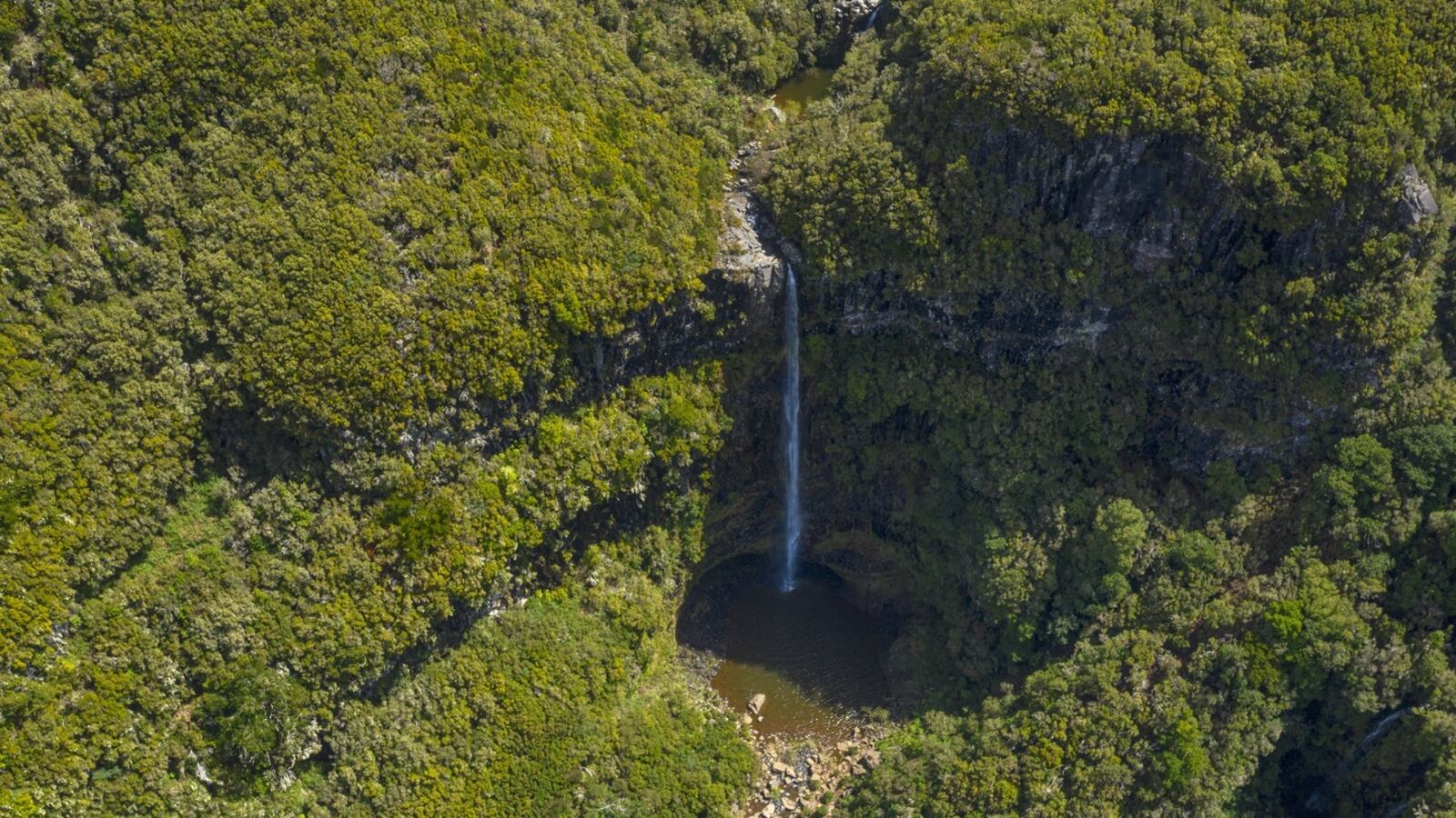 Madeira – an island of sensory splendour – The Irish Times