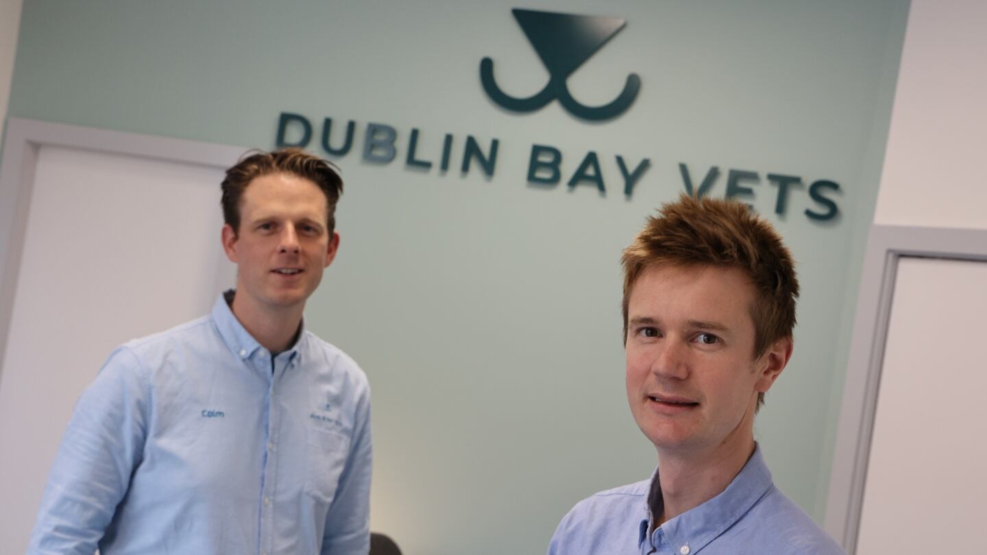 Ireland’s supervets: ‘As pets become part of the family, people want ...