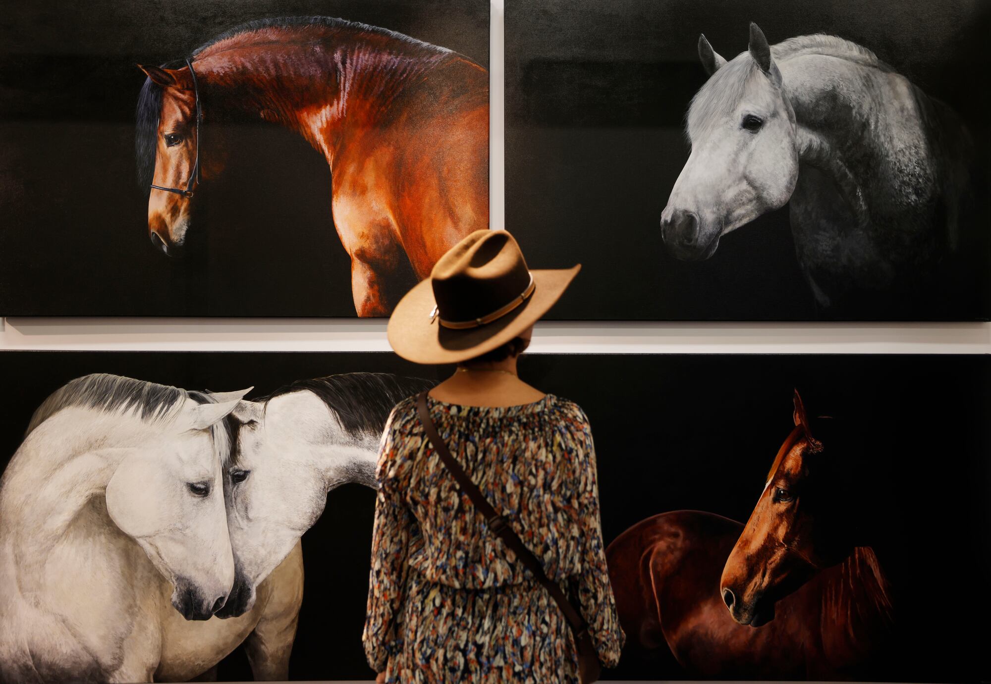 Day one of the Dublin Horse Show – The Irish Times