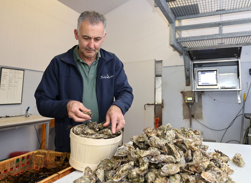 ‘Oysters are ecosystem warriors because they clean the water. It’s ...
