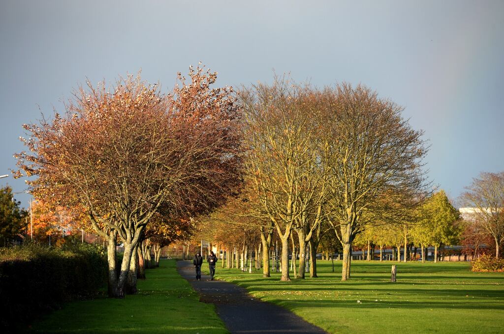 Make a move to Finglas: An ‘absolute gem of a neighbourhood’ – The ...