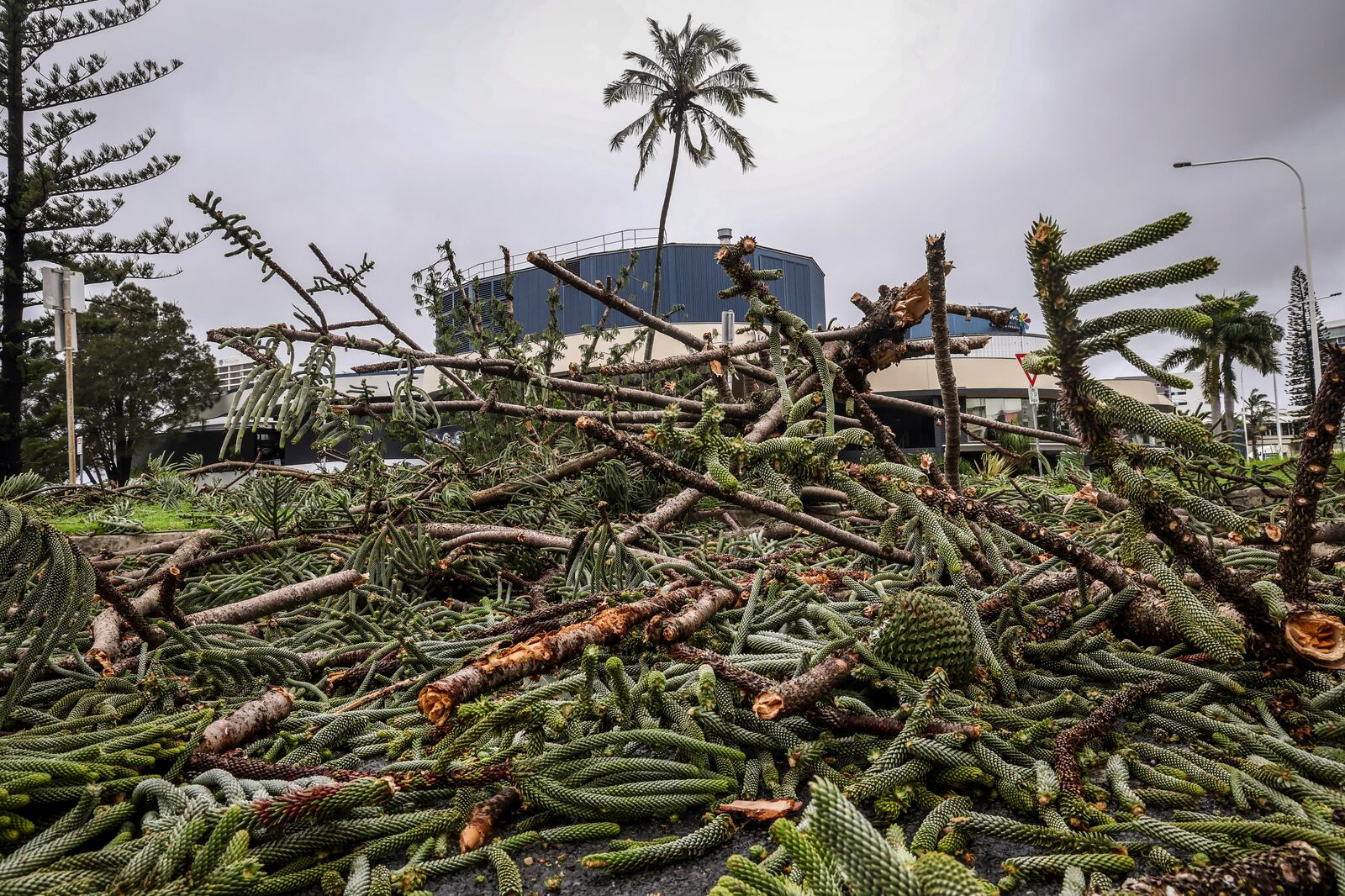 Australia warns thousands to move to safety as tropical Cyclone Alfred ...