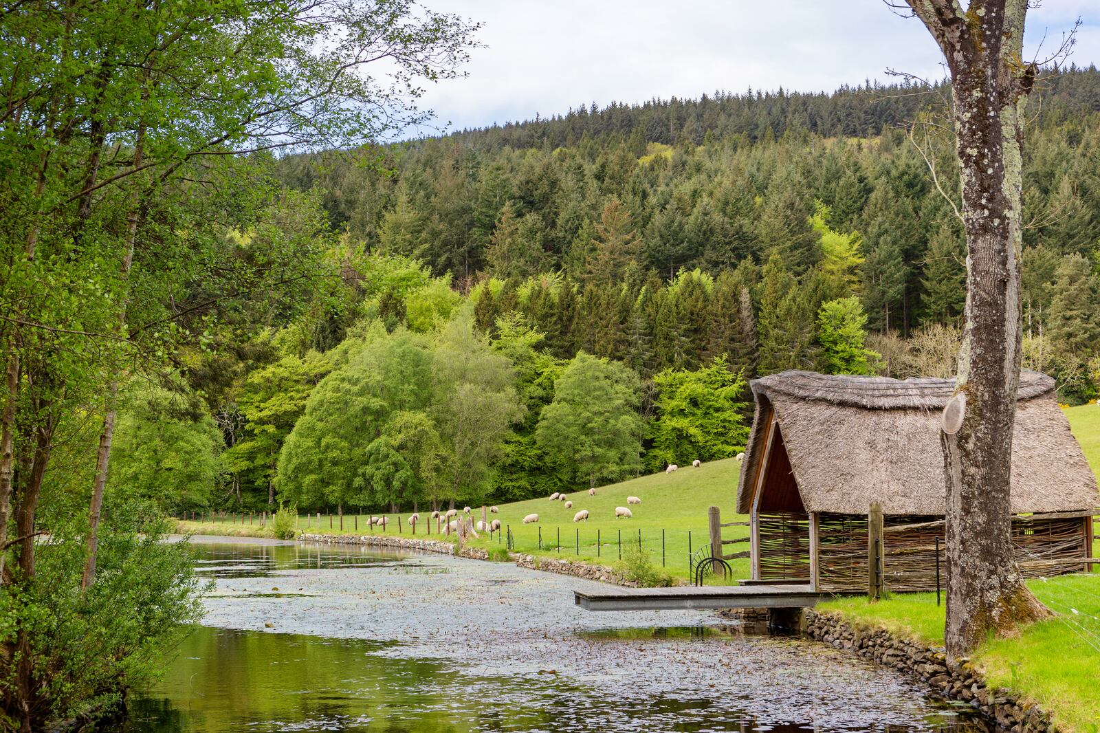 Live like a lord: Wicklow estate that featured in The Tudors and Matt ...