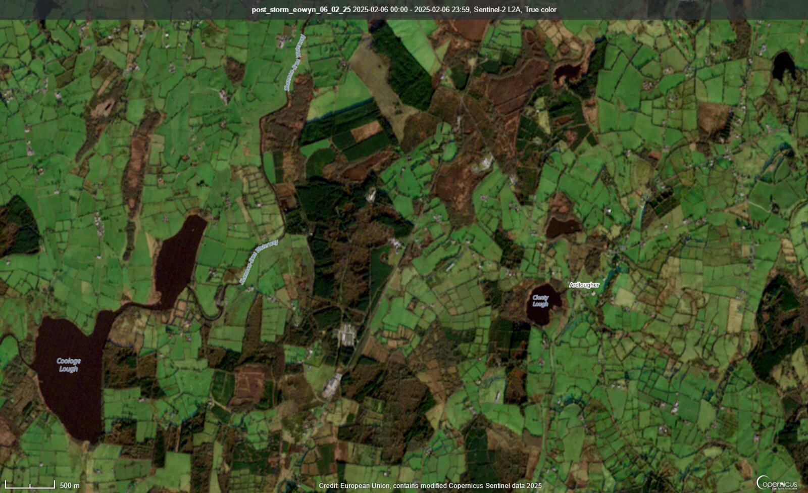 Storm Éowyn’s €500m toll on Irish forestry revealed by satellite ...